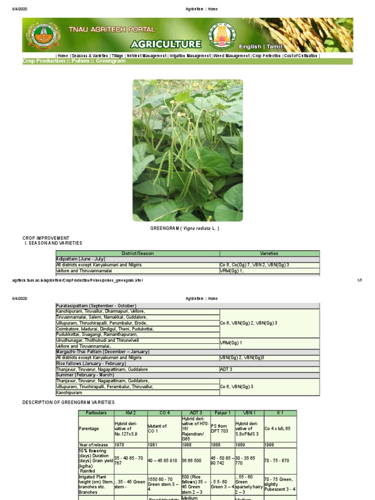 Green Gram Cultivation | PDF | Sowing | Legume
