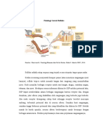 Sinaps: Jenis, Fungsi, dan Mekanisme | PDF