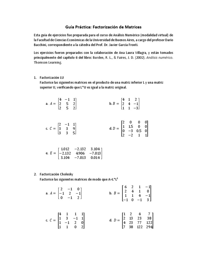 Guía Práctica. Factorización de Matrices | PDF | Matriz (Matemáticas ...