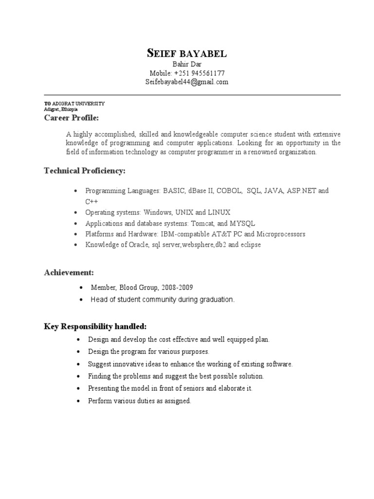 Eief Bayabel: Career Profile | PDF