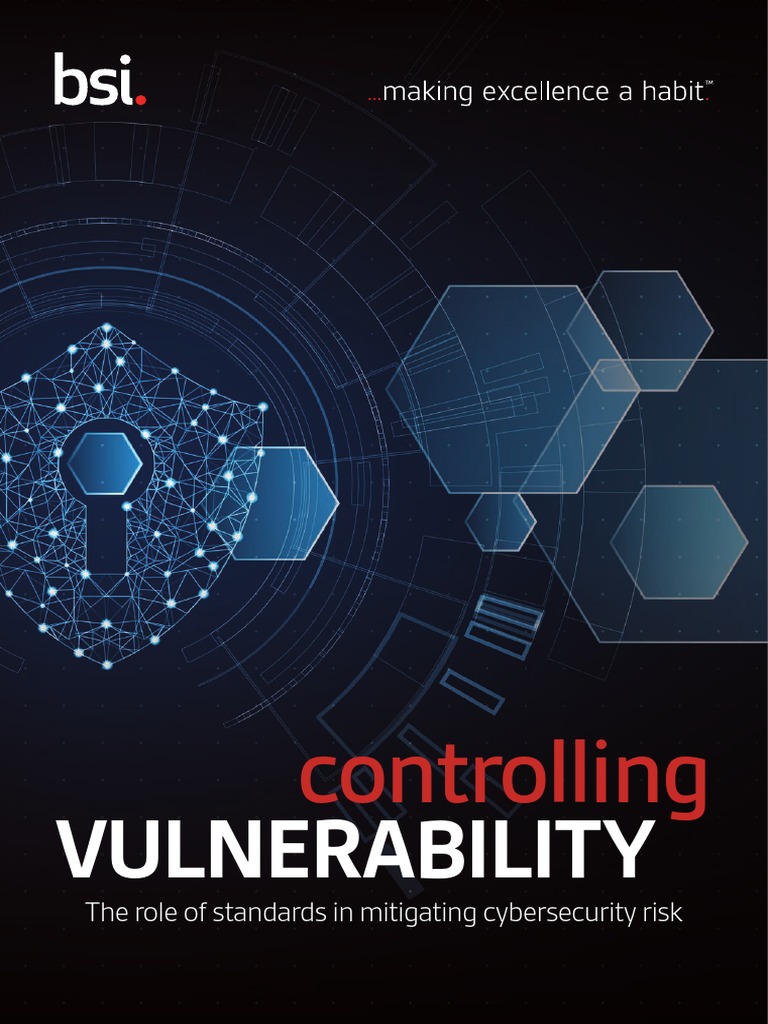 BSI CyberSecurity Report | PDF | Computer Security | Security