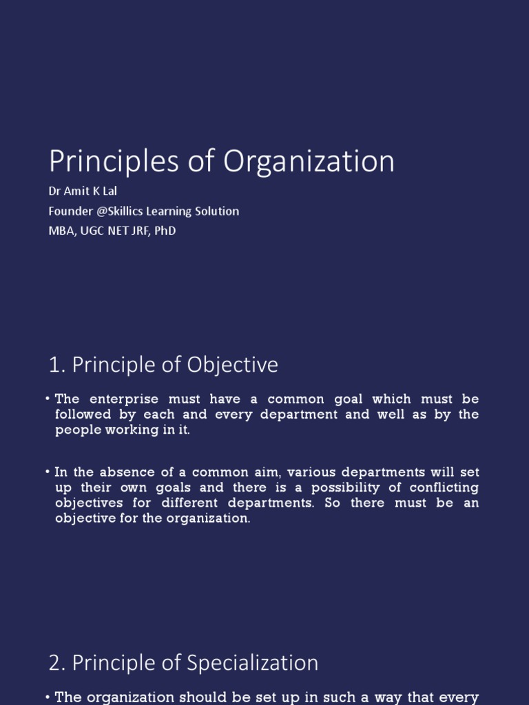 Principles of Organization | PDF | Business