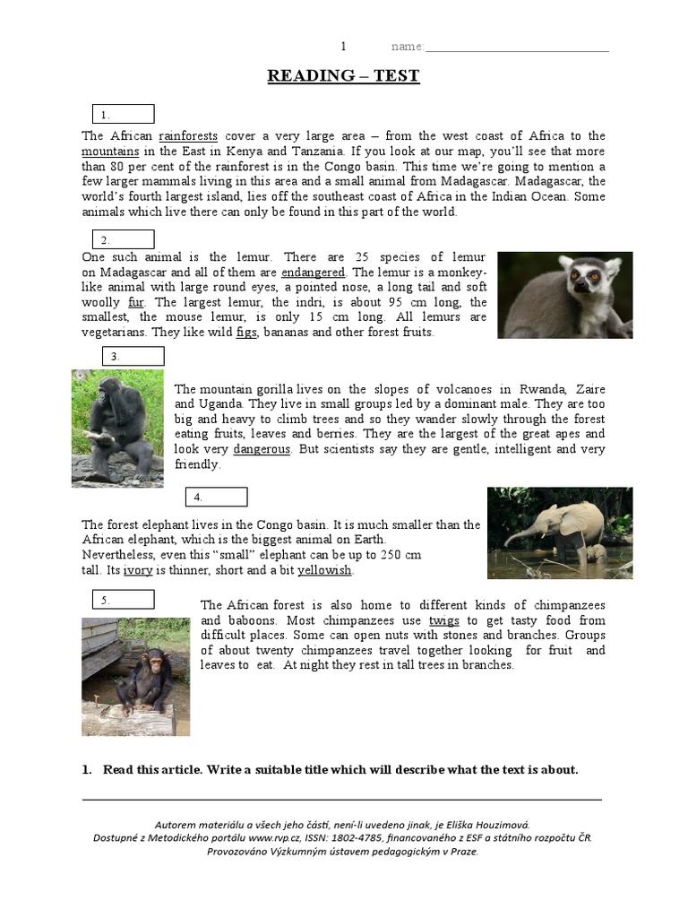 Wild - Animals Testing Reading - Comprehension | PDF | Elephant ...
