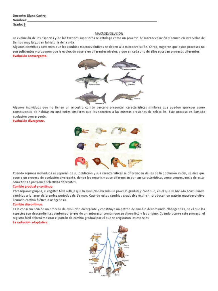 Ejemplos de Macroevolución y Estructuras | PDF | Evolución | Gene