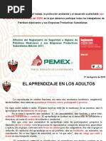 Pemex Colores PDF | PDF