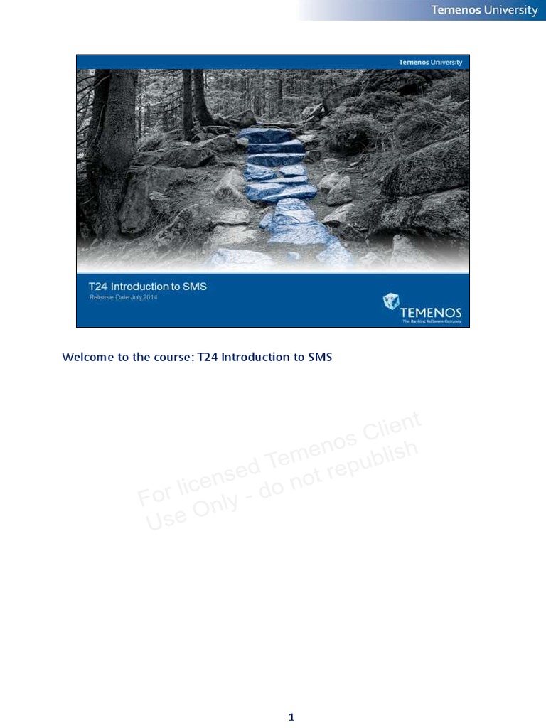 T24 SMS Security Management Overview | PDF | Authentication | Password