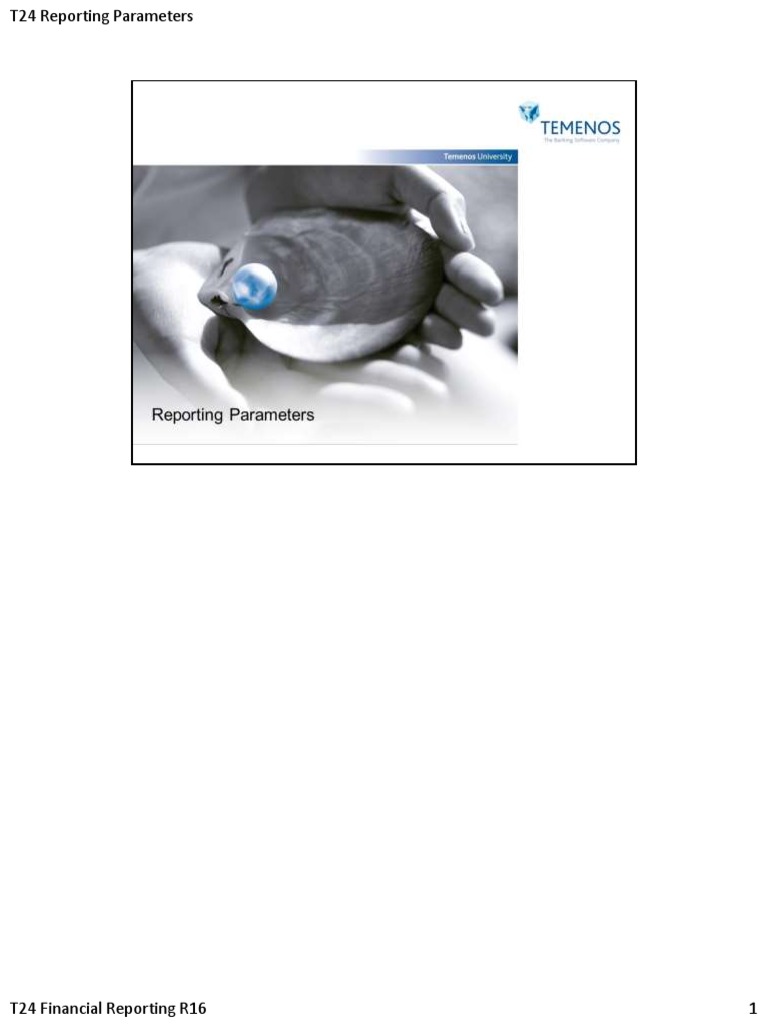 T24 Reporting Parameters R16 Pdf Pdf Debits And Credits Parameter Computer Programming