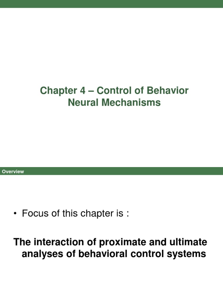 Control of Behavior | PDF | Ethology | Neuron