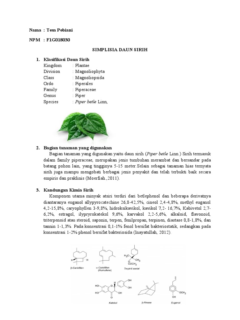 Daun Sirih | PDF