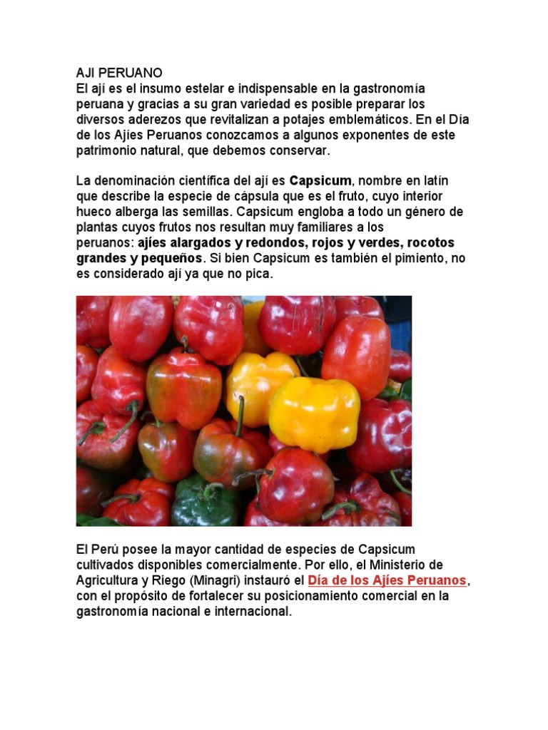 Clases y Tipos de Aji | PDF | Ají picante | Pimiento