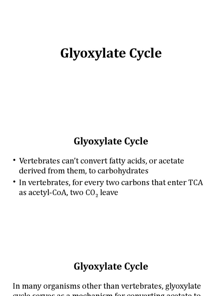 Glyoxylate Cycle in Non-Vertebrates | PDF | Citric Acid Cycle | Diet ...