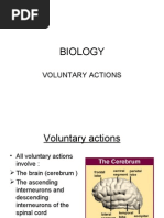 Voluntary vs Involuntary Actions Explained | PDF | Stimulus (Physiology ...