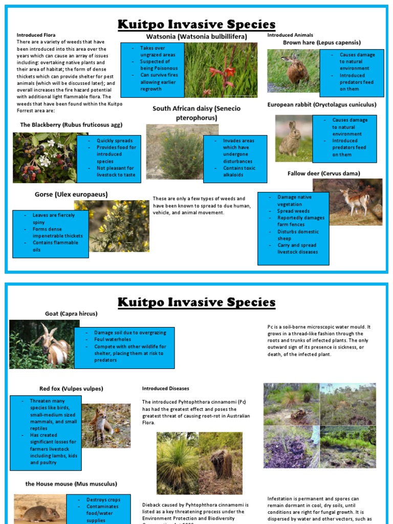 Invasive Species | PDF | Invasive Species | Organisms