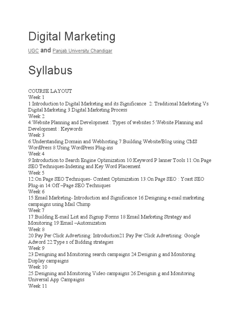 Digital Marketing Syllabus: UGC Panjab University Chandigar | PDF