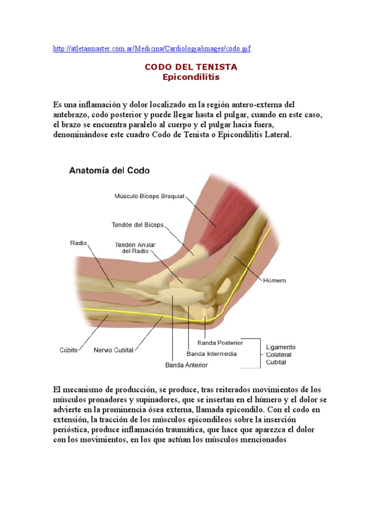 Lesiones Tendinosas Codo 1 | PDF | Codo | Sistema musculoesquelético