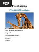 Historia de Las Jirafas | PDF | Evolución