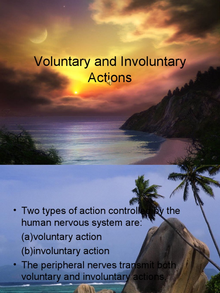 Voluntary and Involuntary Action | PDF | Stimulus (Physiology ...
