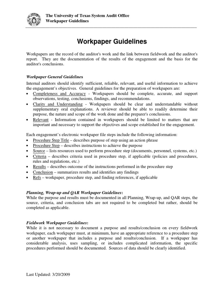 Workpaper Guidelines | PDF | Computer File | Internal Audit