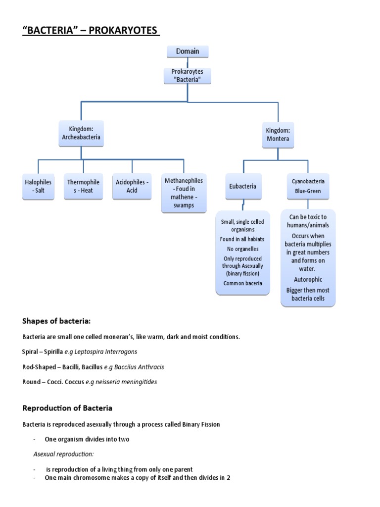 SBI3U Grade 11 Biology Prokaryotes Viruses and Eukaryotes Biodiversity ...