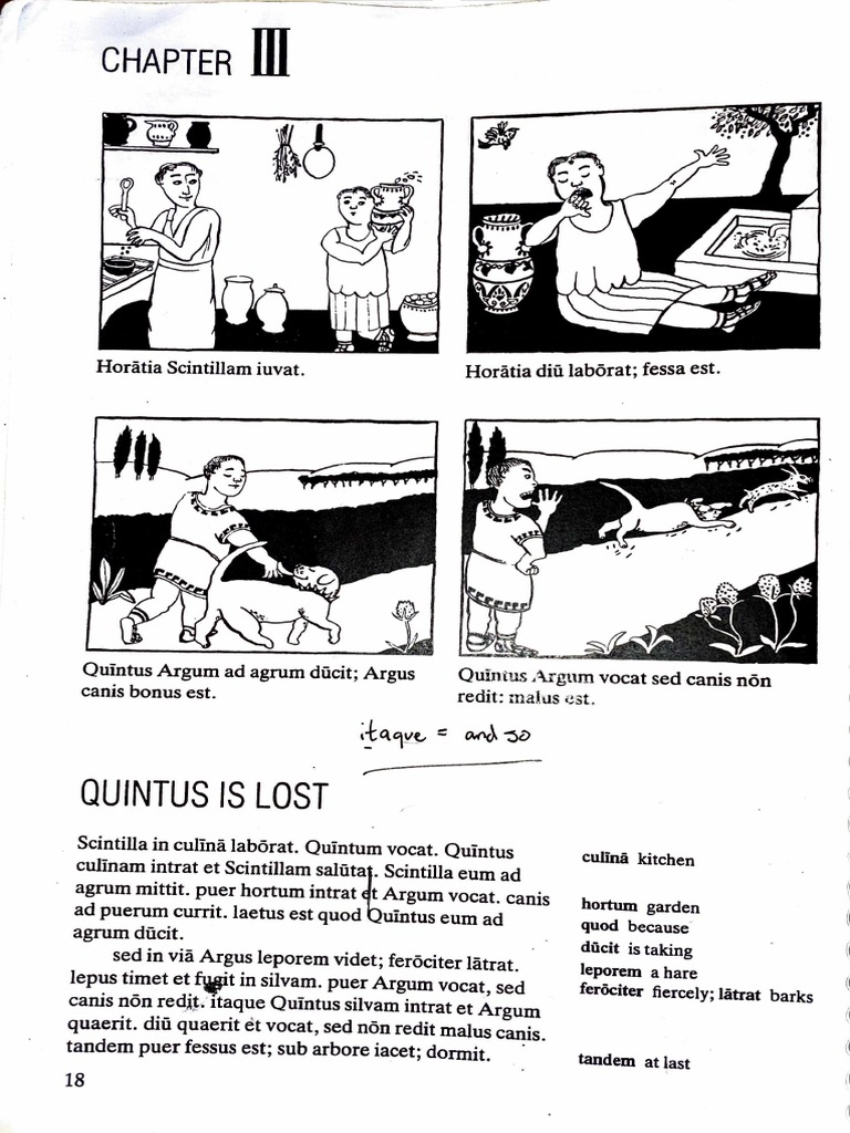 Latin Chapter 3 | PDF | Wife | Marriage