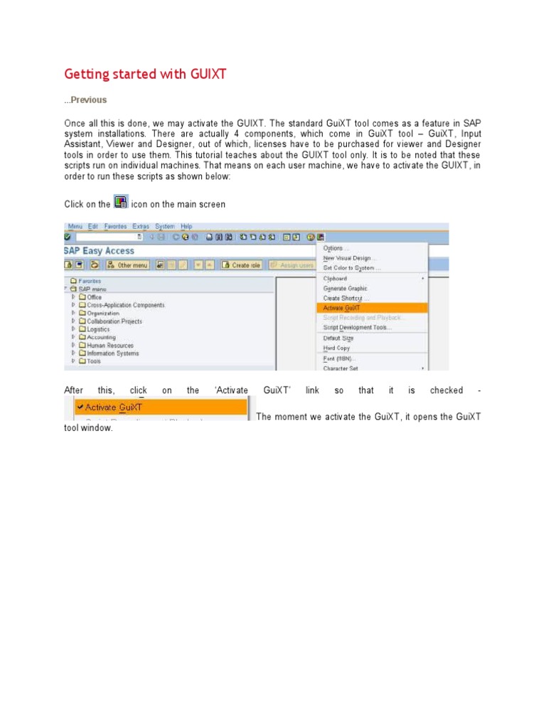 GUIXT S/4 Hana | PDF | Login | Icon (Computing)