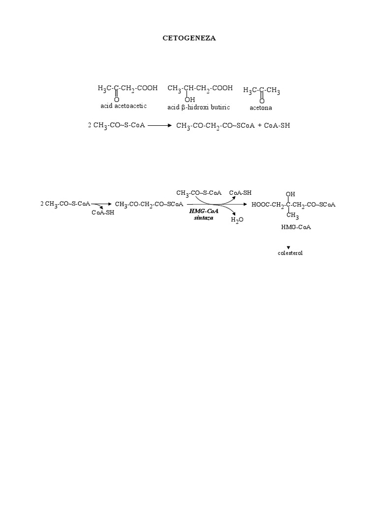 H3C-C-CH2-COOH Acid Acetoacetic O OH CH3-CH-CH2-COOH O Acid - Hidroxi ...