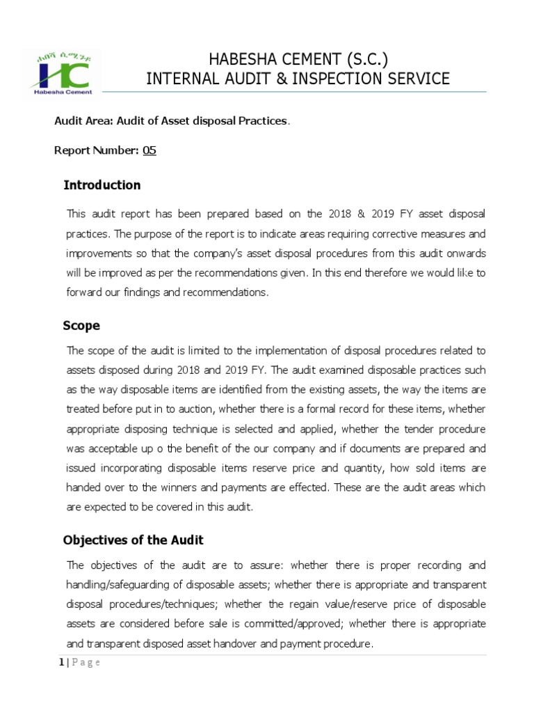 Asset Disposal Audit Findings 2018-2019 | PDF | Auction | Audit