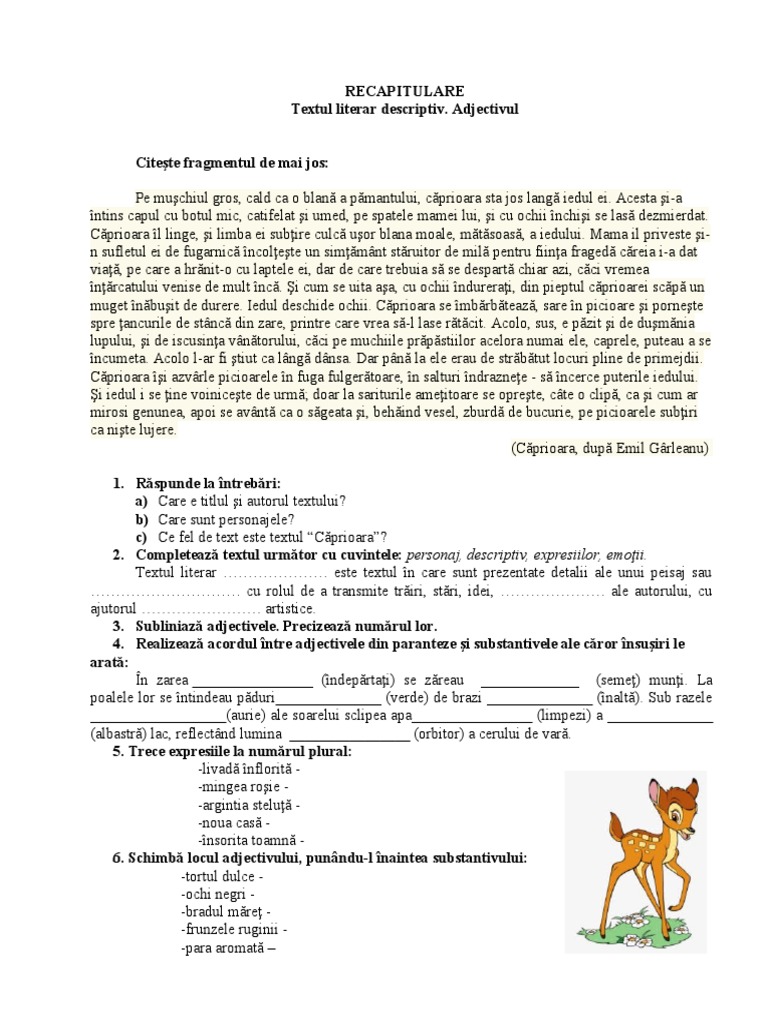1 Fisa de Lucru Adjectivul | PDF