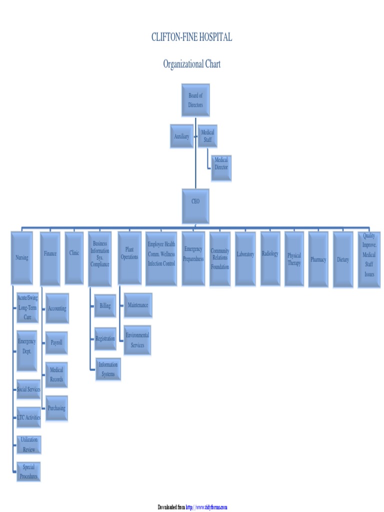 Clifton-Fine Hospital Organizational Chart: Downloaded From | PDF ...
