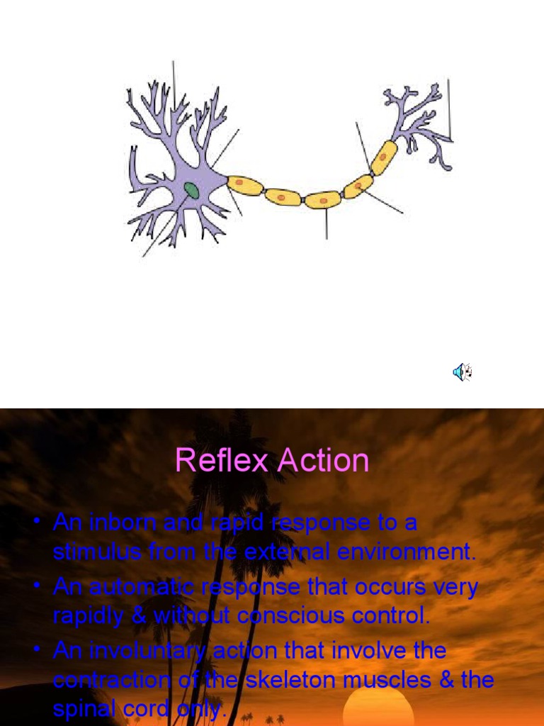 REFLEX ACTION