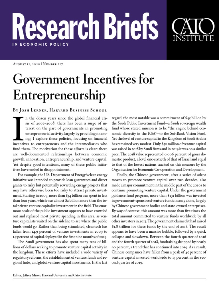 Government Incentives For Entrepreneurship | PDF | Venture Capital ...