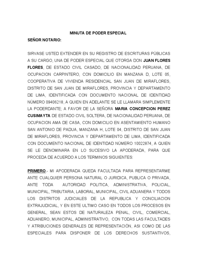 Minuta de Poder Especial Juan Flores Flores | PDF | Ley procesal ...