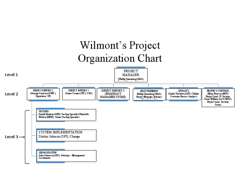 Project Organization Chart Template | PDF | Business