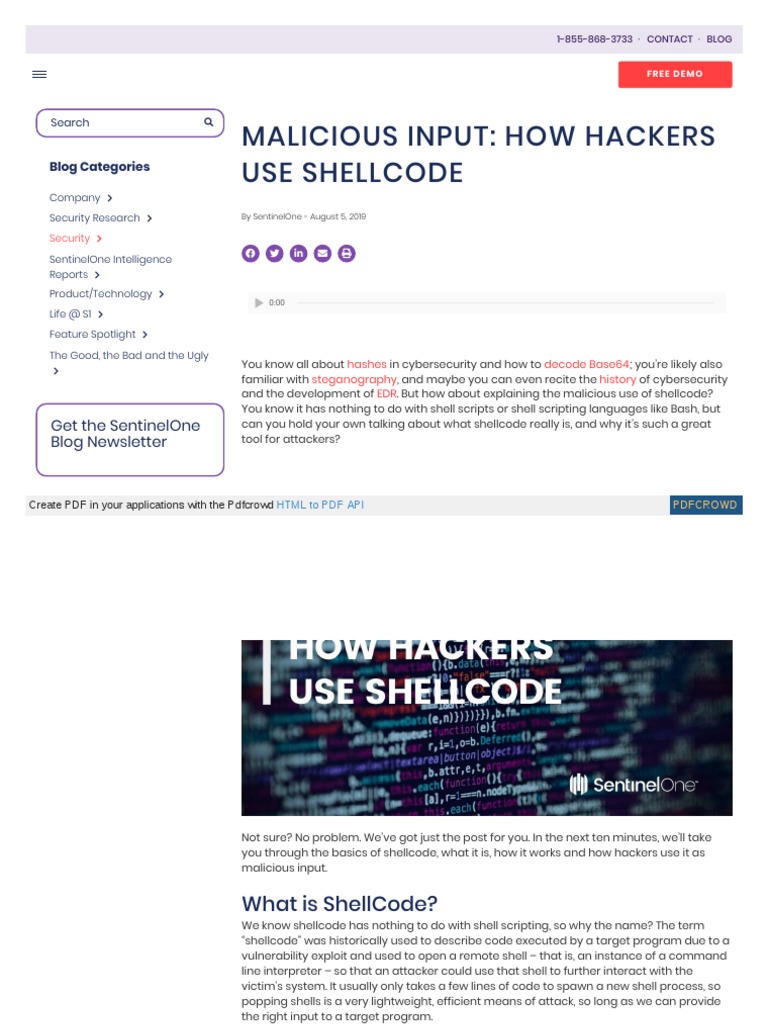 How Hackers Use Shellcode | PDF | Cyberwarfare | Security