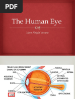 The Eye in Clinical Practice - 2001 - Frith - Glossary of Terms Used in ...