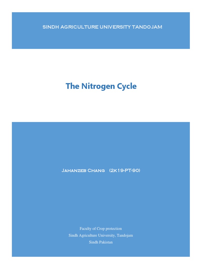 The Nitrogen Cycle: Sindh Agriculture University Tandojam | PDF