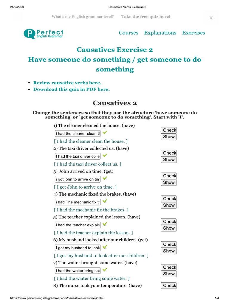 Causatives 2 | PDF
