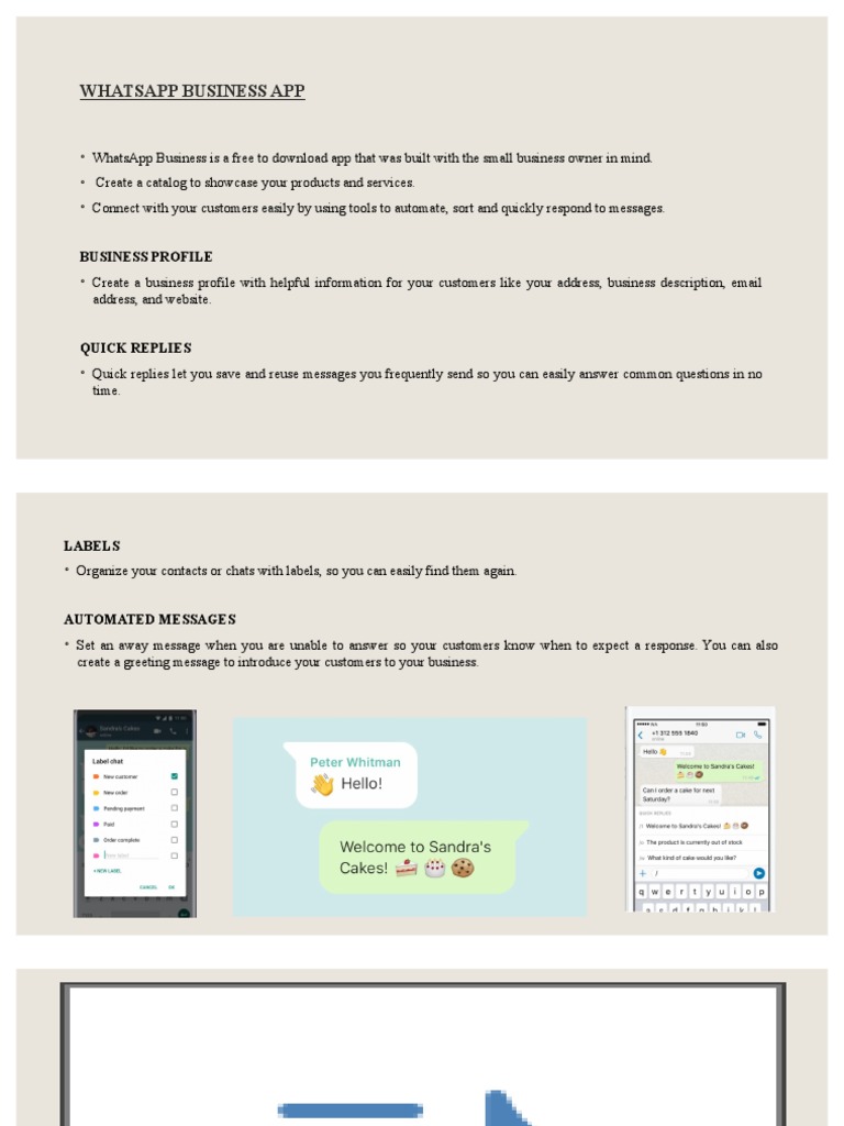 Whatsapp Business Pdf