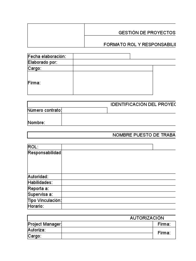 5 Formato Rol y Responsabilidades | PDF