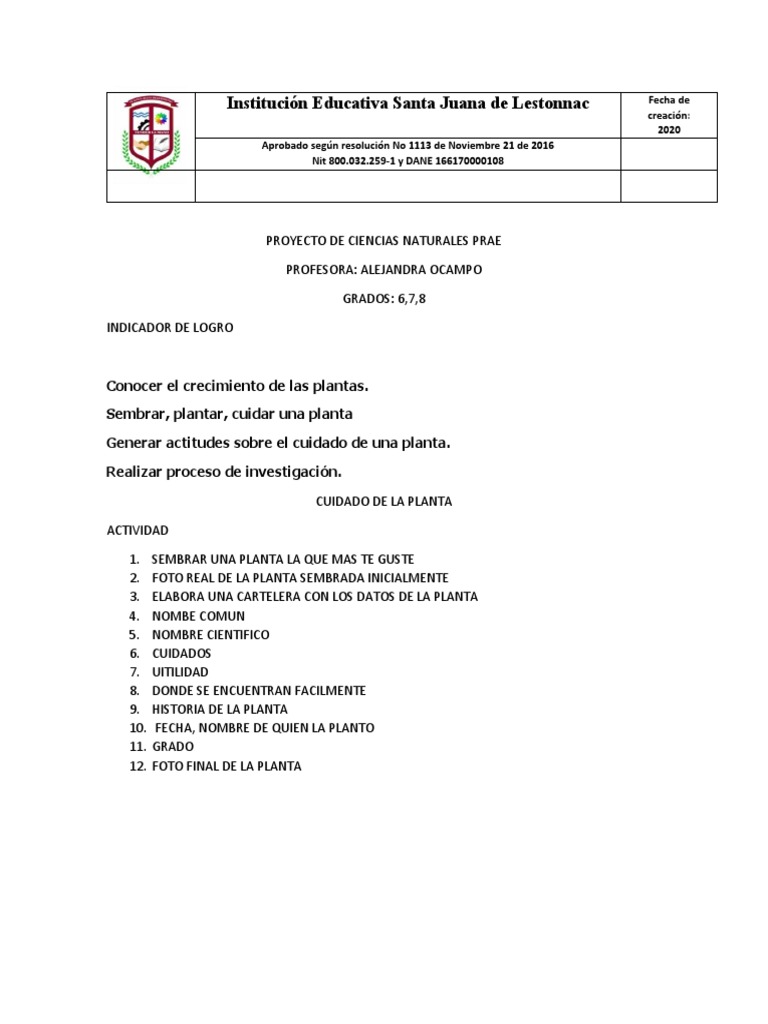 Proyecto Sembrando Plantas | PDF