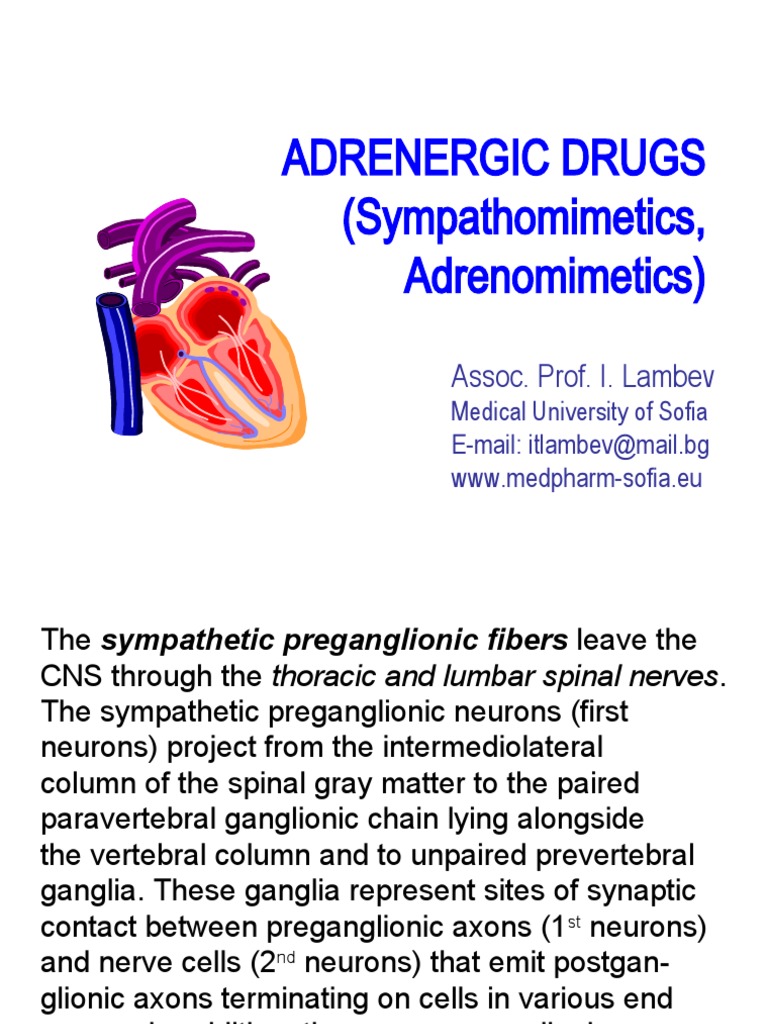 Adrenergic Drugs (Sympathomimetics, Adrenomimetics) : Assoc. Prof. I ...