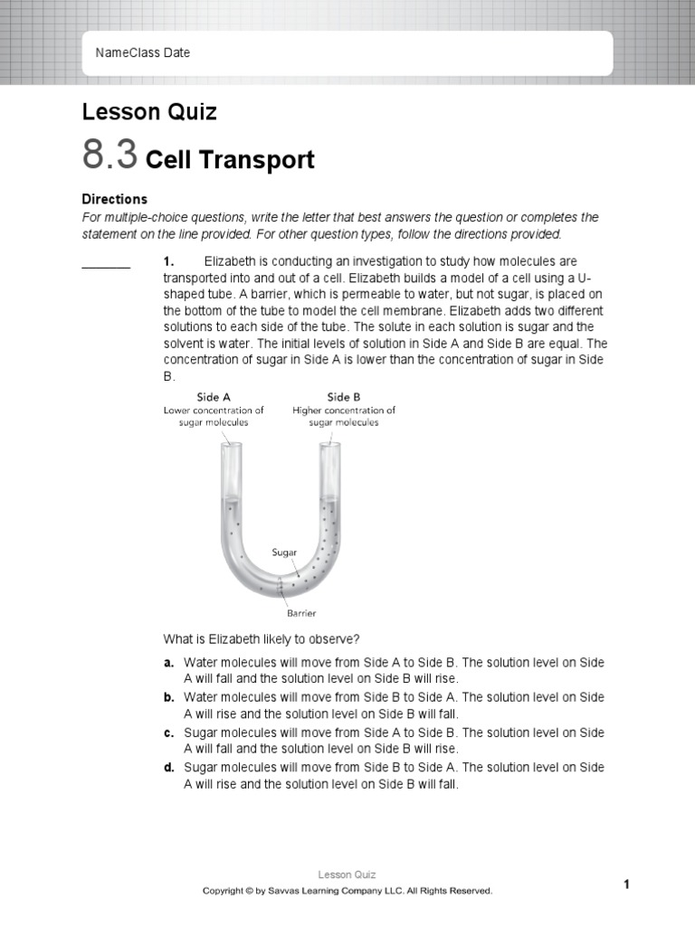 Cell Transport | PDF | Osmosis | Cell Biology