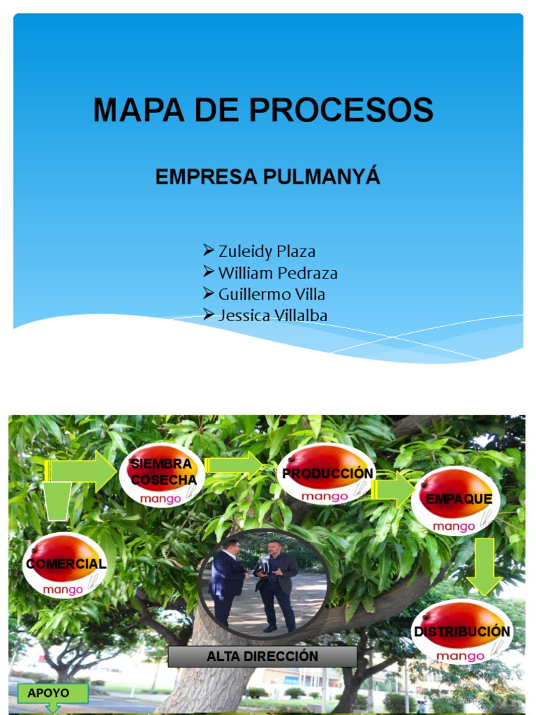 Mapa de Procesos de Producción Pulmanya | PDF | Siembra | Gestión de ...