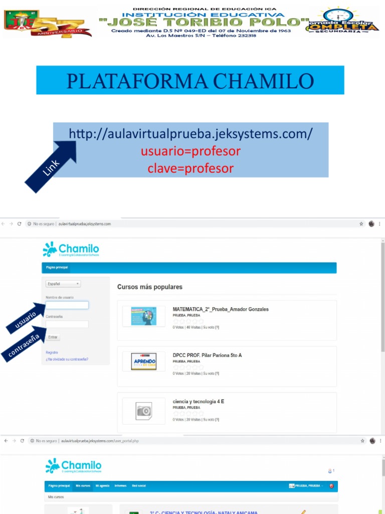 Guía de Uso de Chamilo para Profesores | PDF