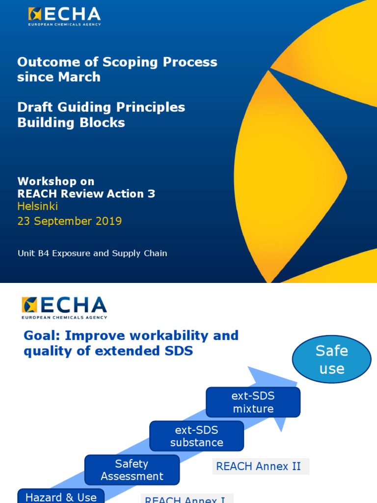 Presentation 1 Draft Principles Building-Blocks Echa en | PDF | Risk ...