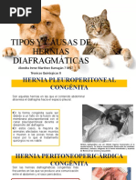 FARINGE y LARINGE - Anatomía II, Veterinaria | PDF | Laringe ...