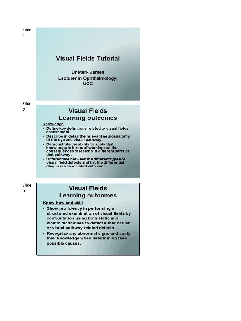 Visual Fields | PDF | Retina | Visual System