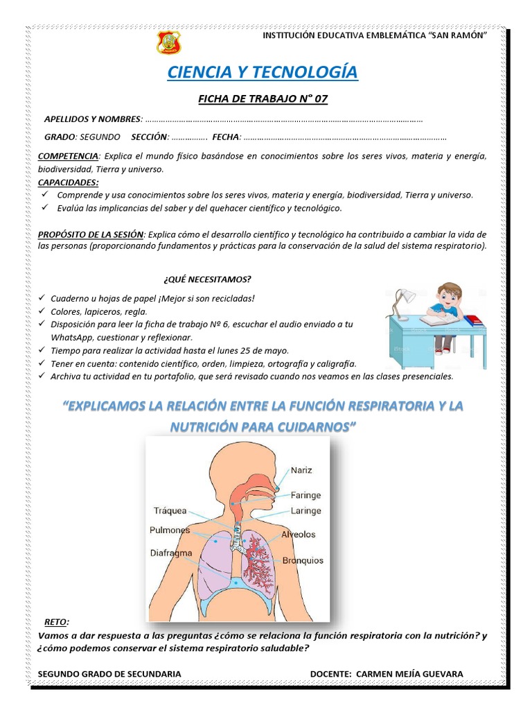 Hoja De Trabajo Del Sistema Respiratorio Para La Escuela Secundaria