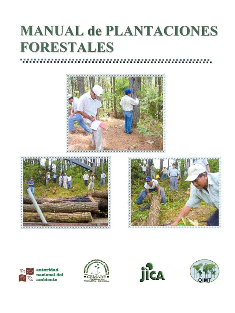 Manual de Plantaciones Forestales PDF | PDF | Tallo de la planta | Los bosques