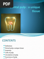 Dental Pulp: Structure and Functions | PDF | Dentin | Histology